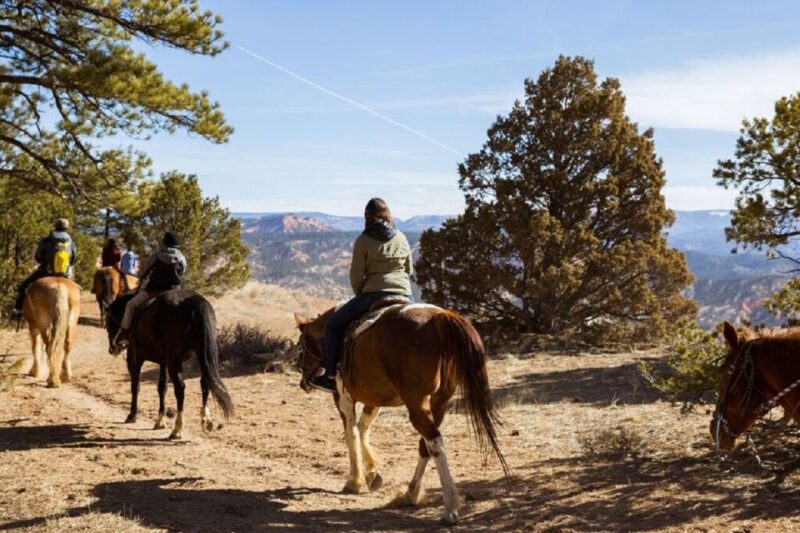 Bryce Canyon: Horseback Ride in the Dixie National Forest - Key Points