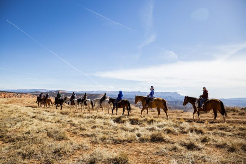 Bryce Canyon: Horseback Ride in the Dixie National Forest - Frequently Asked Questions