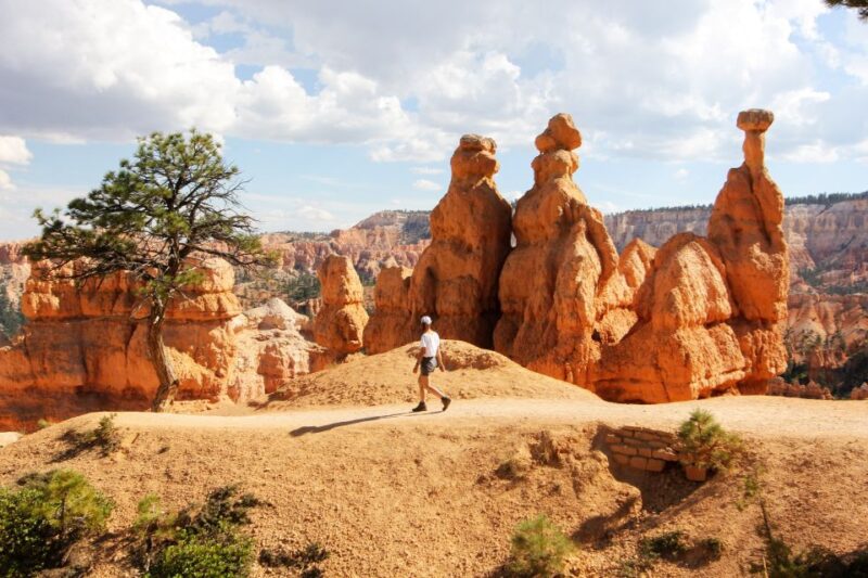 Bryce Canyon & Zion National Park: Private Group Tour - What Makes This Tour Stand Out