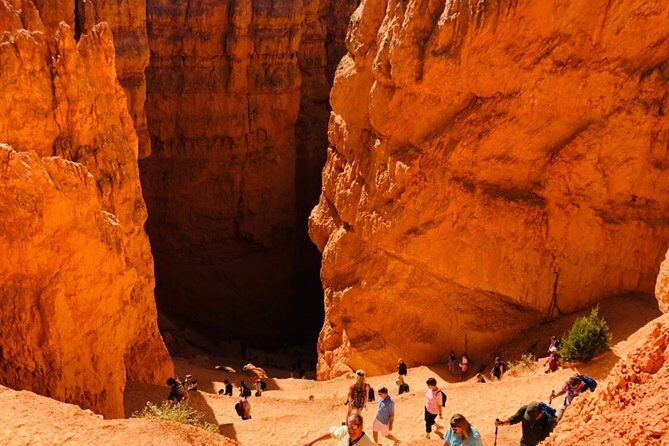 Bryce Canyon & Zion National Parks Day Tour From Las Vegas with Lunch - Price and Value