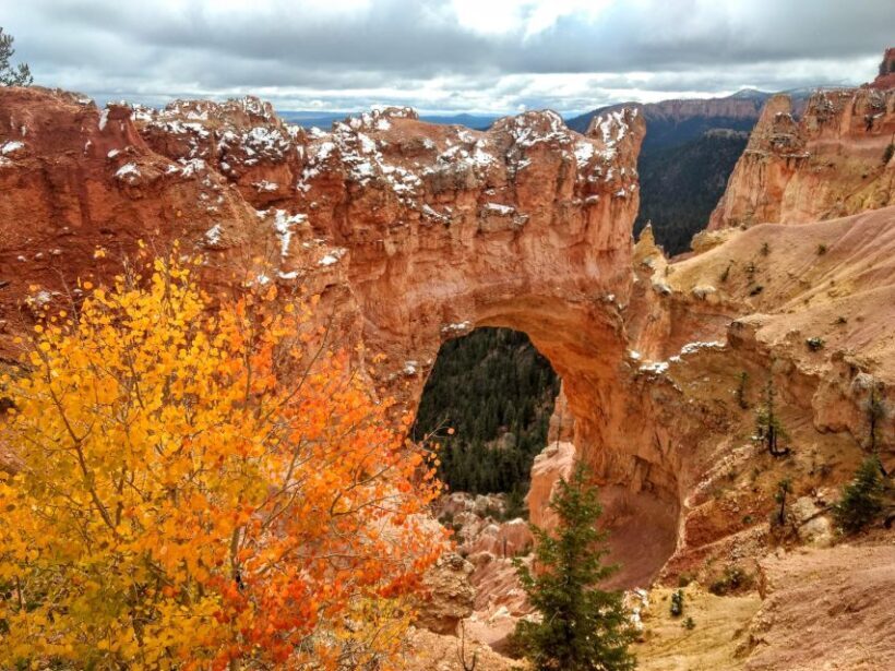 Bryce: Guided Sightseeing Tour of Bryce Canyon National Park - Exploring Bryce Canyon with a Guided Eye