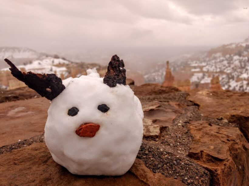 Bryce: Guided Sightseeing Tour of Bryce Canyon National Park - The Experience in Practice