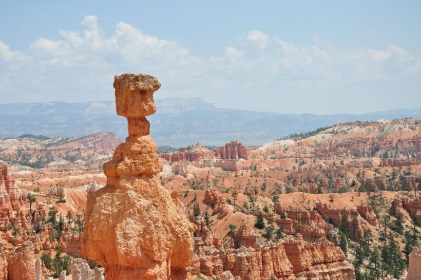 Bryce: Guided Sightseeing Tour of Bryce Canyon National Park - Who Should Consider This Tour?
