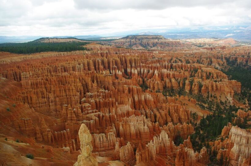 Bryce: Guided Sightseeing Tour of Bryce Canyon National Park - The Sum Up