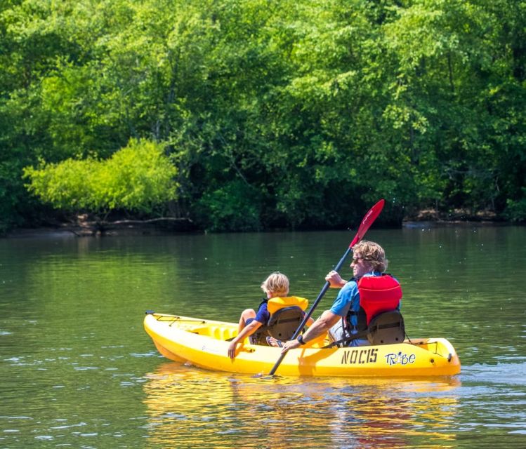 Bryson City: Fontana Lake Guided Kayak Tour - Why This Tour Is Worth Considering