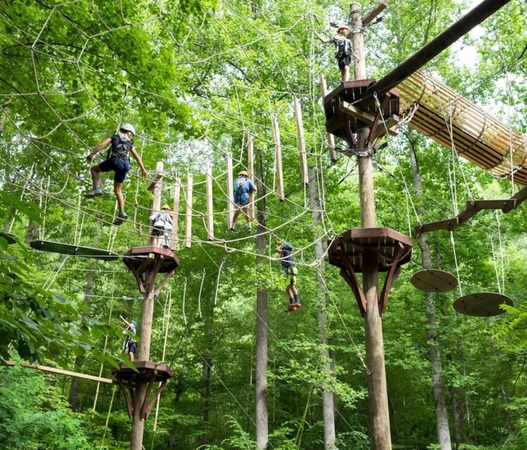 Bryson City: Zip Line Adventure Park Pass with Gear - An In-Depth Look at Bryson City’s Zip Line Adventure