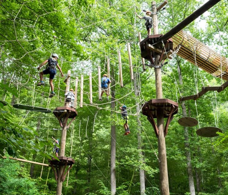Bryson City: Zip Line Adventure Park Pass with Gear - Detailed Breakdown of the Experience