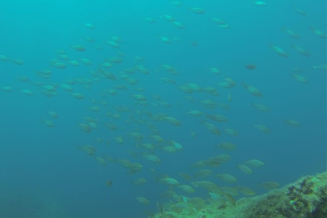 Bubble maker (scuba diving for children) - Introduction