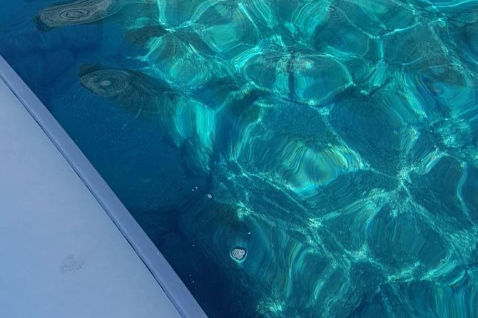 Bubble maker (scuba diving for children) - Location and Logistics