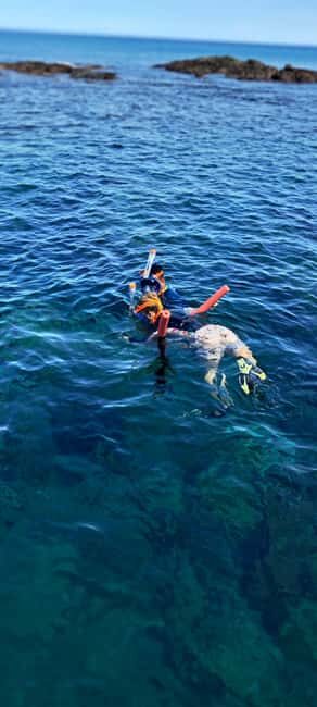 Buccoo Reef and Nylon Pool Adventure - Final Thoughts