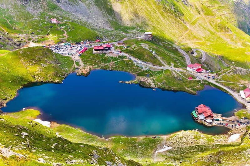 Bucharest: Bears Safari on Top Gear Road Transfagarasan - The Experience in Detail