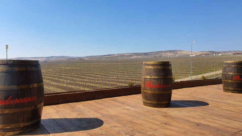 Bucharest: Dealu Mare Winery Private Trip with Wine Tasting - The Value of This Tour