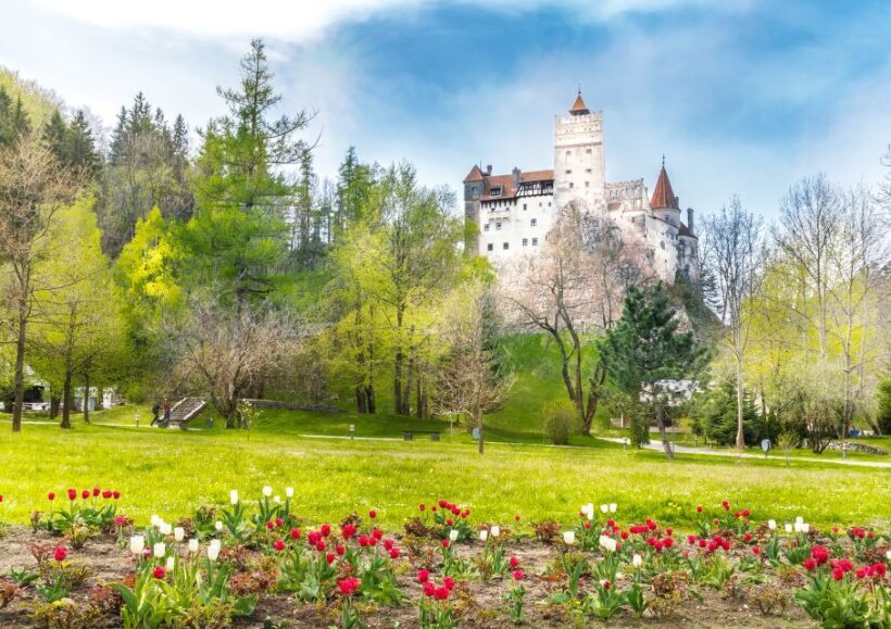 Bucharest: Dracula Castle, Peles Castle & Brasov Guided Tour - Who Should Book This Tour?