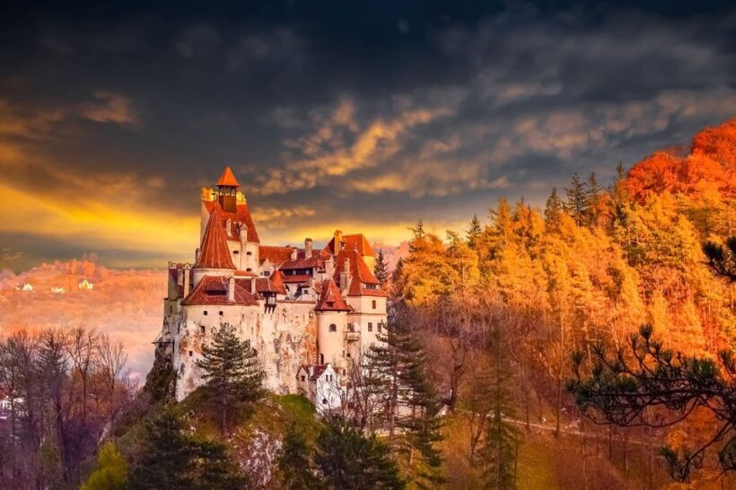 Bucharest: Draculas Castle, Peles Castle & Brasov Day Trip - Authentic Experiences and the Value You Receive