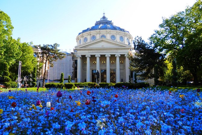 Bucharest Layover Tour (6 - Hour Private City Tour Between Flights) - Why Choose the Bucharest Layover Tour?