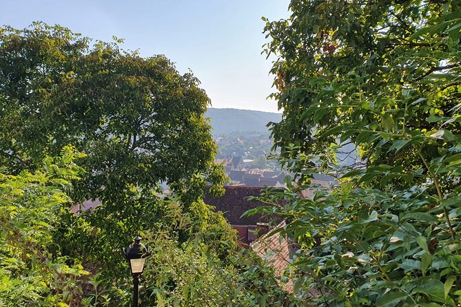 Bucharest Private Tour with Dracula's Grave and Ceauescu Mansion - Key Points