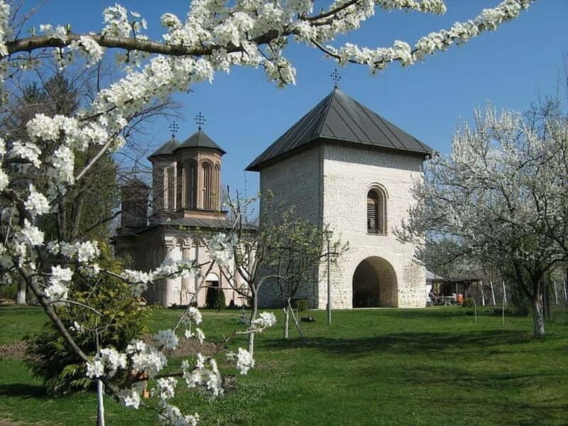 Bucharest: Slanic Salt Mine & Dracula' s Tomb - Private Tour - The Value Proposition