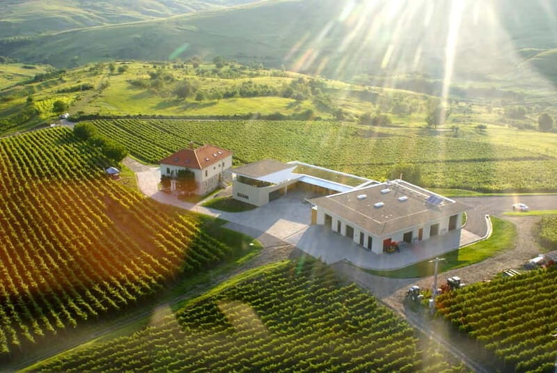 Bucharest: Taste the Magic of Wine in Romanias Tuscany - Key Points
