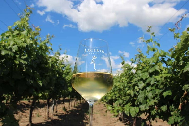 Bucharest: Taste the Magic of Wine in Romanias Tuscany - What’s Included & What’s Not