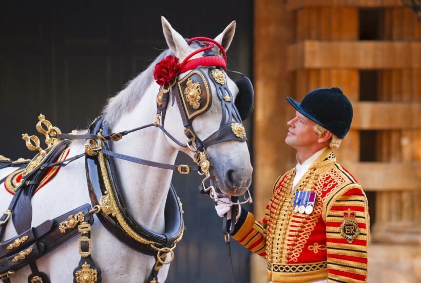 Buckingham Palace: The Royal Mews Entrance Ticket - The Bottom Line