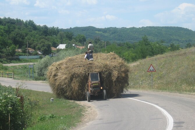 Bucovina Painted Monasteries Day Tour - Pickup Information