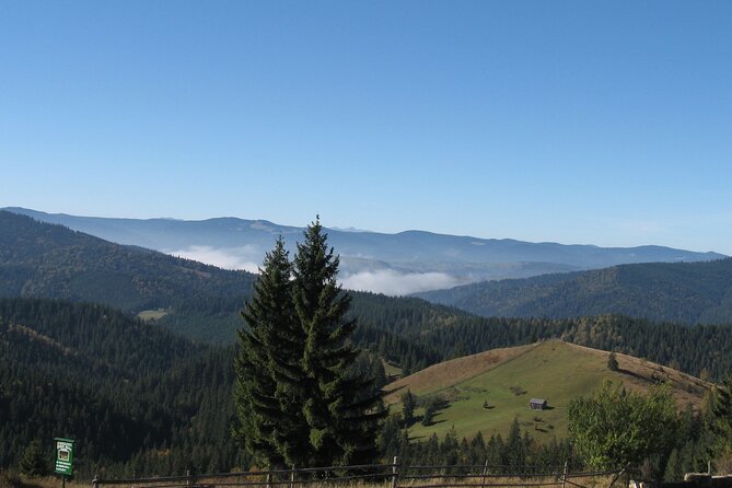 Bucovina Painted Monasteries Day Tour - Scenic Experiences