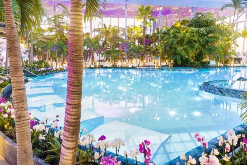 Bucuresti: Bucuresti Therme Transfer and Full-Day Access - Final Thoughts