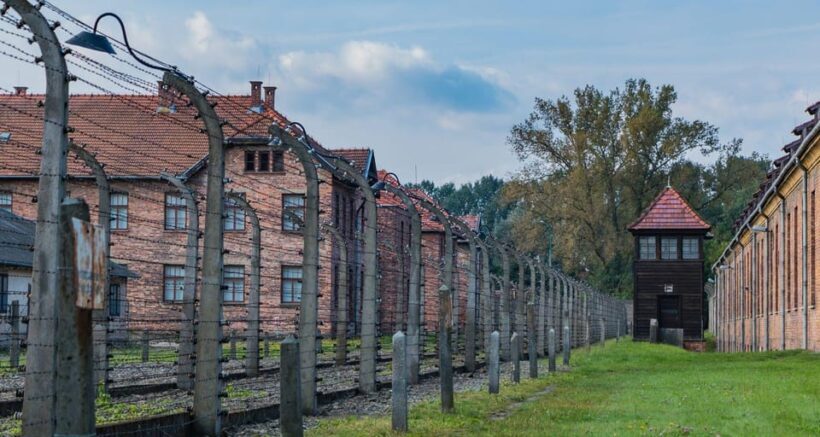 Budapest: Auschwitz Birkenau Private Day Tour - An In-Depth Look at the Tour Experience