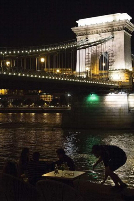 Budapest Boat Cruise at Night with a Drink & Your Own Driver - A Luxurious Look at Budapest by Night: The Boat Cruise with Your Own Driver
