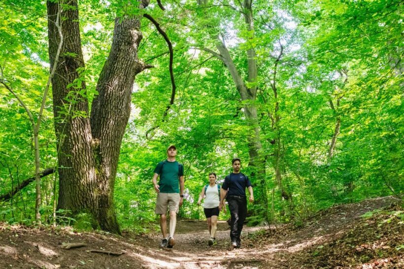 Budapest: Buda Hills Guided Hiking Tour with Optional Lunch - Key Points