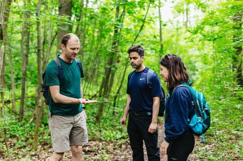 Budapest: Buda Hills Guided Hiking Tour with Optional Lunch - An Introduction to the Buda Hills Hiking Tour
