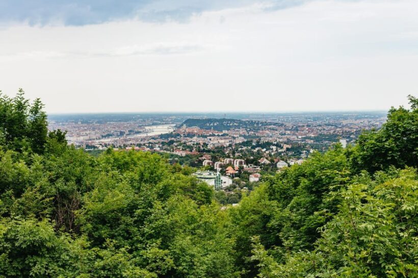 Budapest: Buda Hills Guided Hiking Tour with Optional Lunch - Final Thoughts: Who Will Love This Tour?