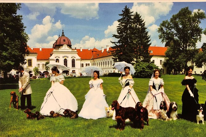 Budapest Gödöllő Palace Royal 'Sisi' Residence Half-Day Tour - Feedback and Reviews on the Gödöllő Palace Tour