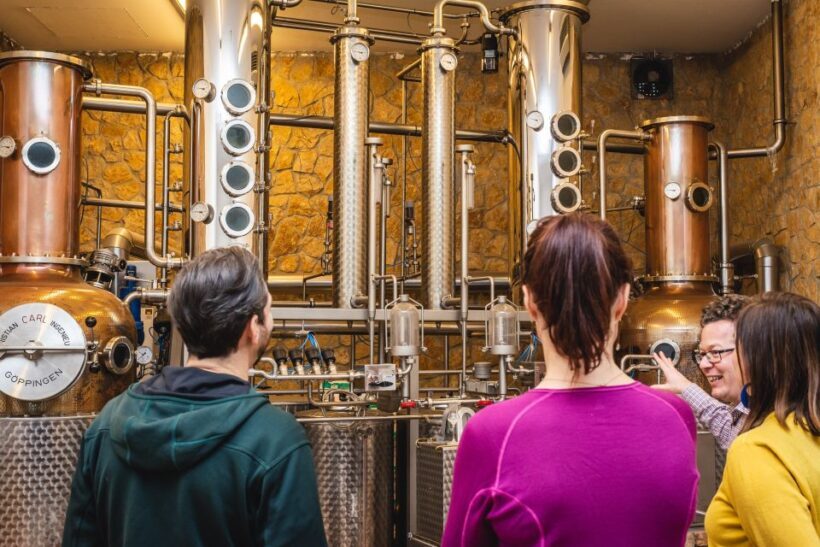 Budapest: Hungarian Whisky, Gin, and Pálinka Tasting - Key Points