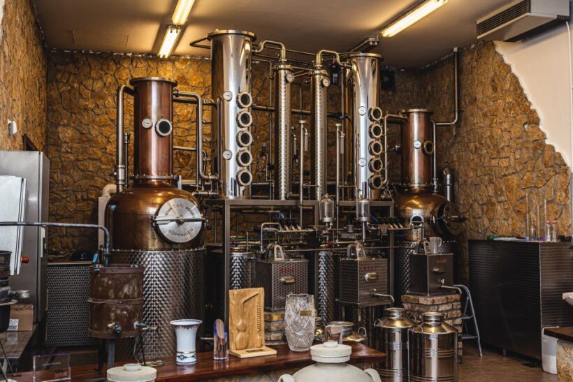 Budapest: Hungarian Whisky, Gin, and Pálinka Tasting - Who Will Love This Tour?