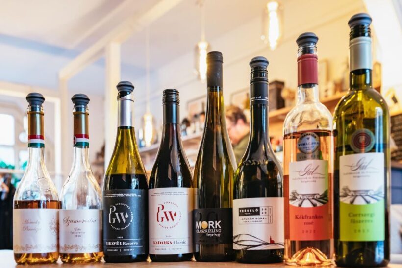 Budapest: Hungarian Wine Tasting with 7 Wines and Tapas - An In-Depth Look at the Budapest Hungarian Wine Tasting Experience
