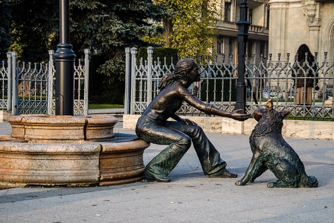 Budapest Private 4 Hour City Tour Experience With a Car / Van - Customer Feedback and Experiences