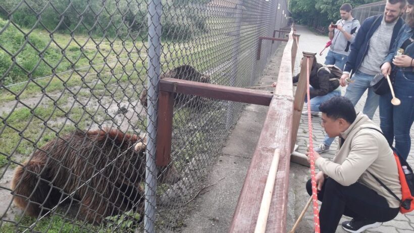 Budapest: Transport & Guided Tour of Bear and Wolf Sanctuary - Key Points