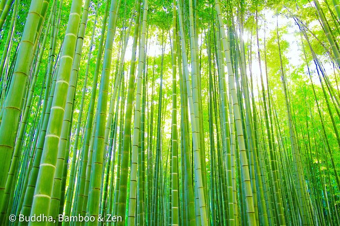 Buddha, Bamboo & Zen - Bespoke Kamakura Private Walking Tours - Meeting and Pickup Information