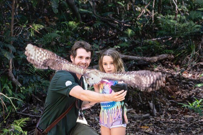 Buderim Forest Flight Owl Encounter and Tour - The Details of the Tour: What to Expect