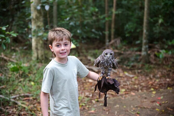 Buderim Forest Flight Owl Encounter and Tour - Frequently Asked Questions