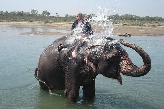 Budget Tour in Chitwan and Pokhara, Nepal - What Does the Price Cover, and Is It Good Value?