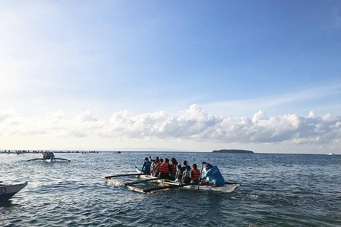 Budgeted: Bohol to Oslob Cebu Whale Shark Experience - Final Thoughts