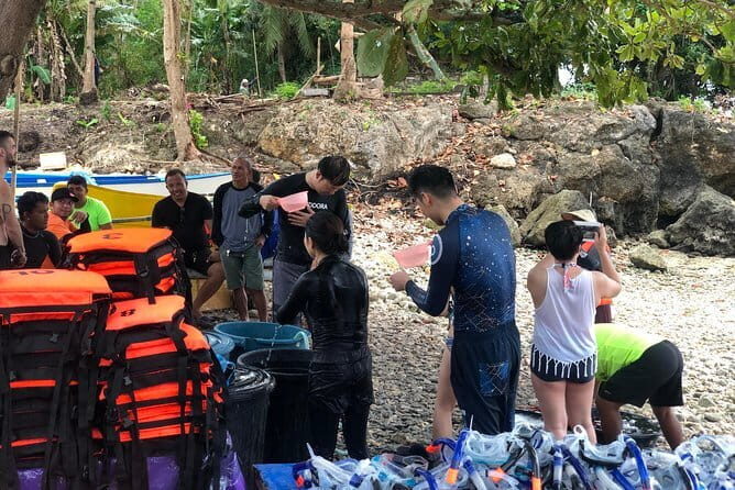 Budgeted Bohol Whale Shark - What the Tour Offers