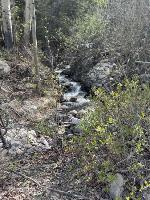Buena Vista: 3 Hour E-Bike Tour to St. Elmo Ghost Town - Final Thoughts: Who Will Love This Tour?