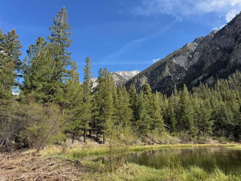 Buena Vista: 3 Hour E-Bike Tour to St. Elmo Ghost Town - FAQ