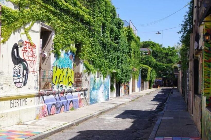 Buenos Aires: Half Day Walking Tour of Palermo & Soho - What Travelers Say About This Experience