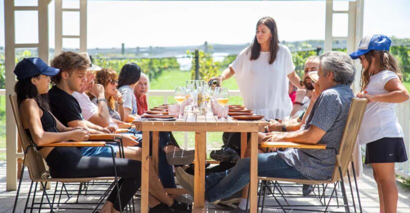 Buenos Aires: Lunch and Wine Tasting at Bodega Gamboa - An Introduction to Bodega Gamboa: More Than Just a Vineyard