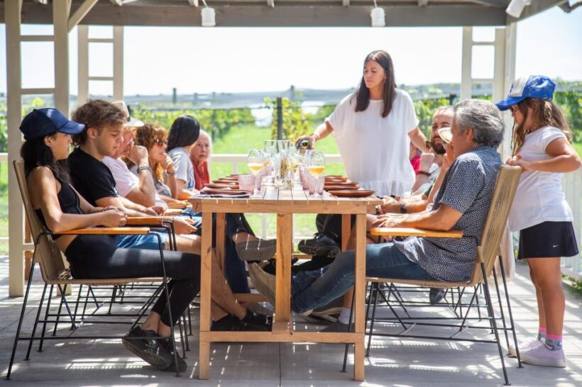 Buenos Aires: Lunch and Wine Tasting at Bodega Gamboa - The Experience: How It Feels in Practice