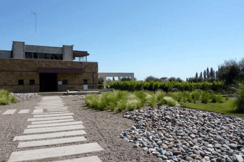 Buenos Aires: Mendoza Wine Paradise Day Trip with Airfare - Key Points